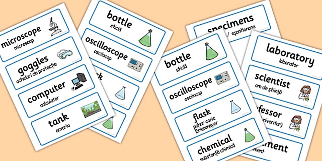 Science Lab Word Cards Romanian Translation (teacher made)