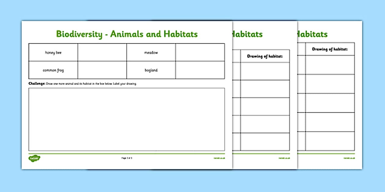 Editable Biodiversity Habitat and Animal Matching and Drawing Worksheet