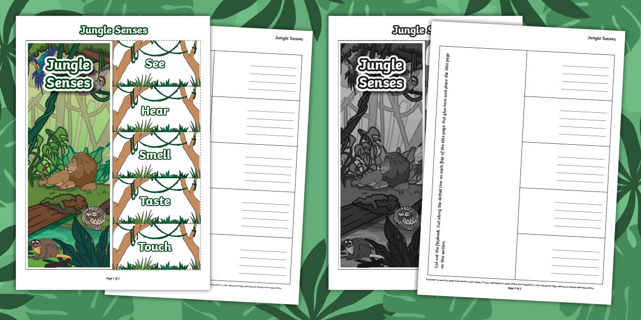 Jungle Senses Flapbook - Twinkl Senses (teacher made)