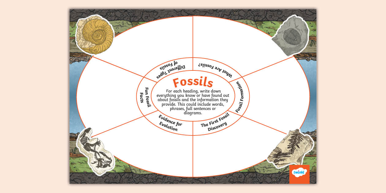 Fossils Around the Table - Twinkl Worksheets (teacher made)