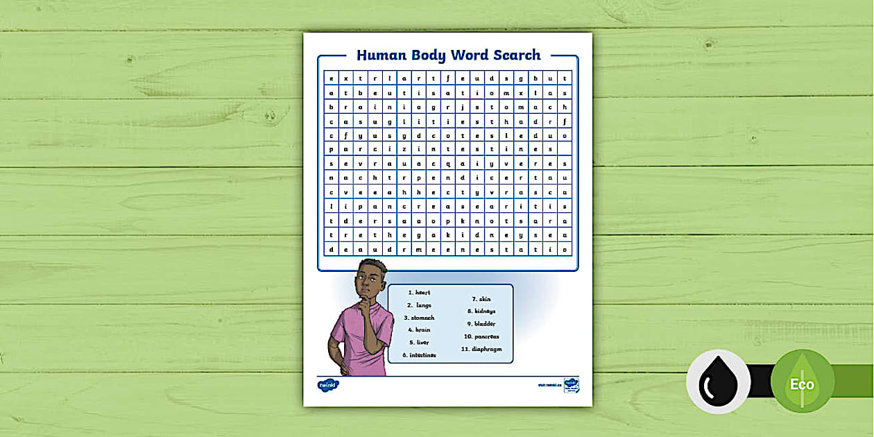 Human Body: Major Organs Word Search (teacher made) - Twinkl