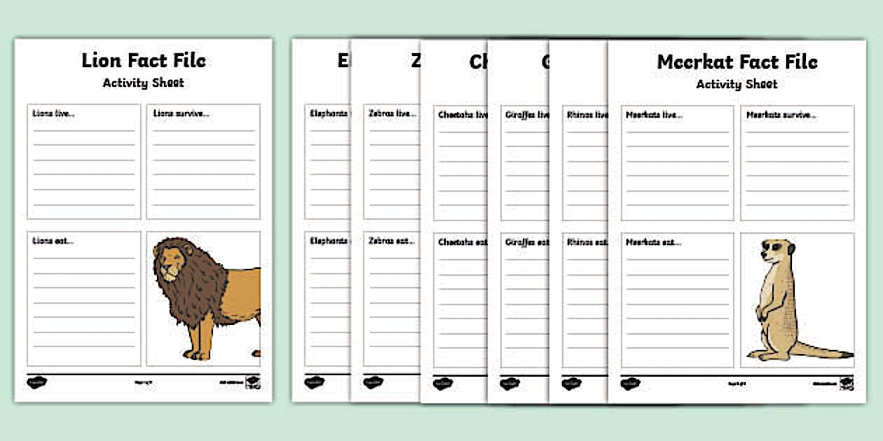 Editable African Animals Fact File Worksheet (teacher made)