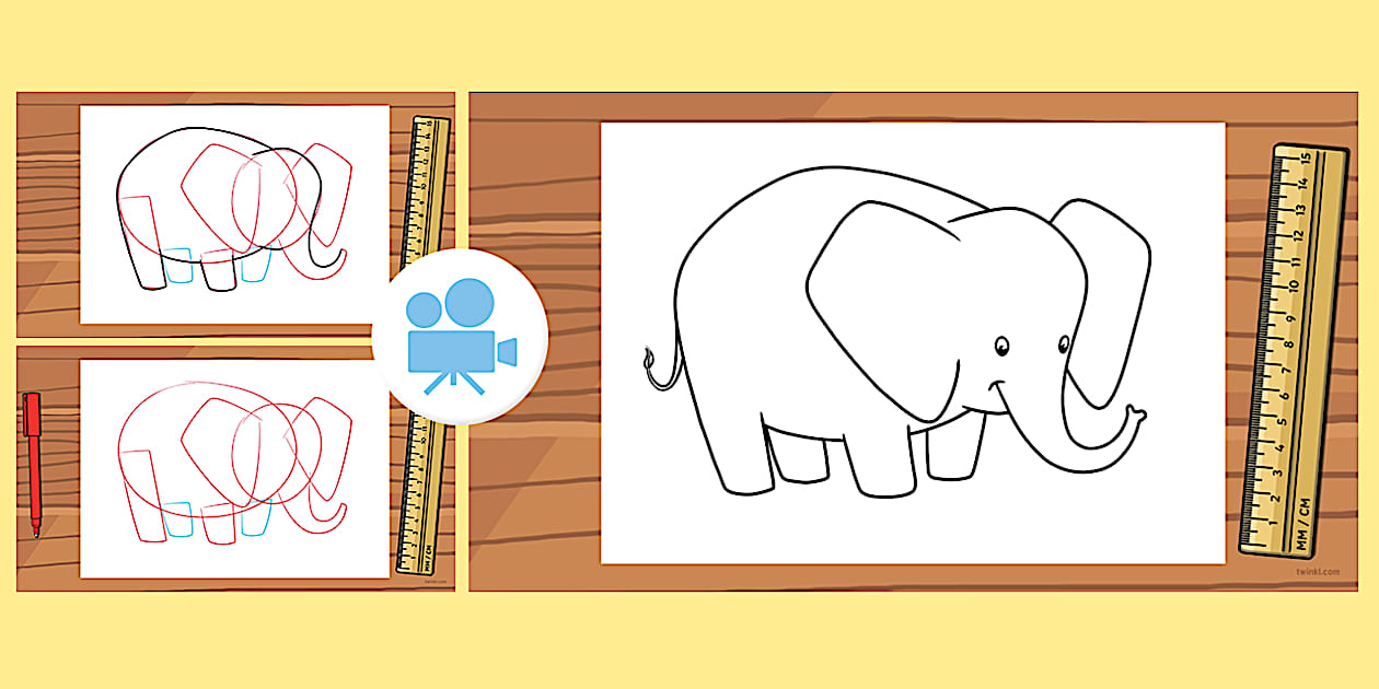 How to Draw an Elephant Art Animation | Twinkl Go - Twinkl