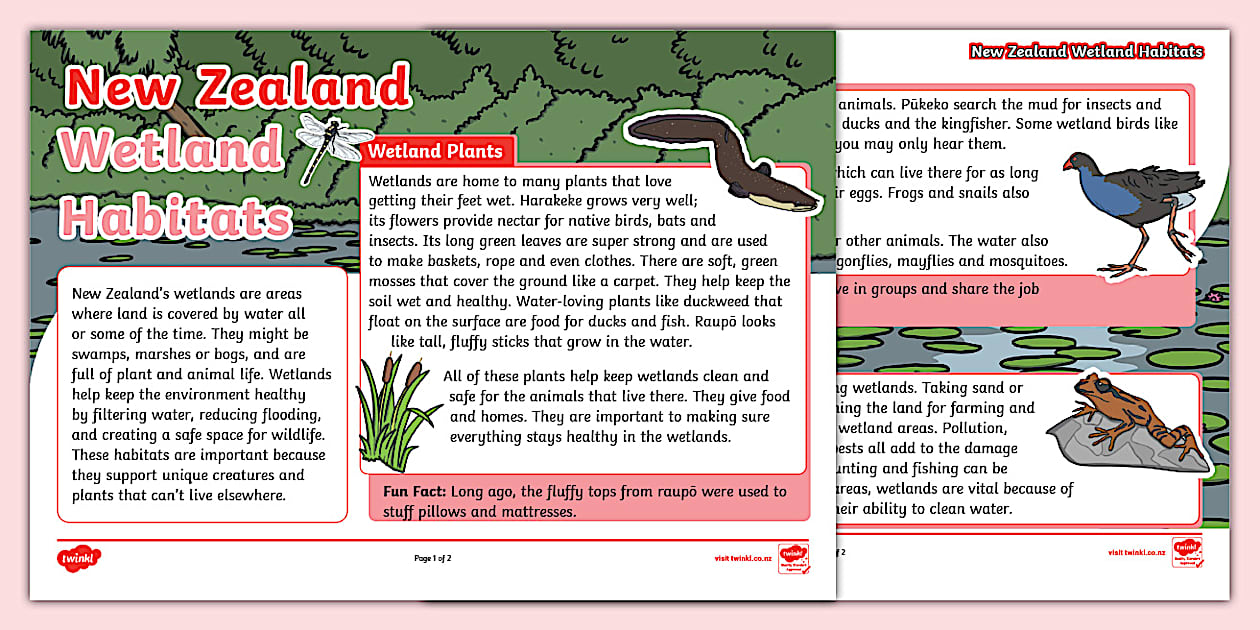 New Zealand Wetlands Habitats Fact File (Teacher-Made)