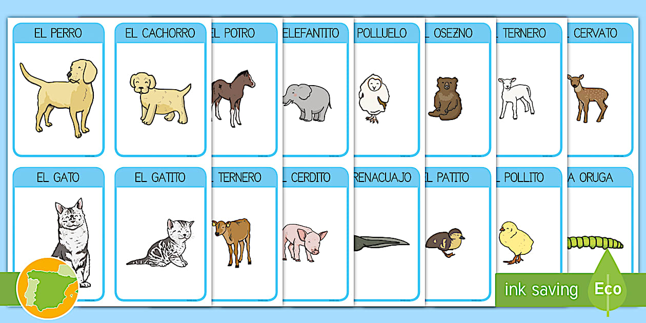 Tarjetas de emparejar: Los animales y sus crías - Twinkl