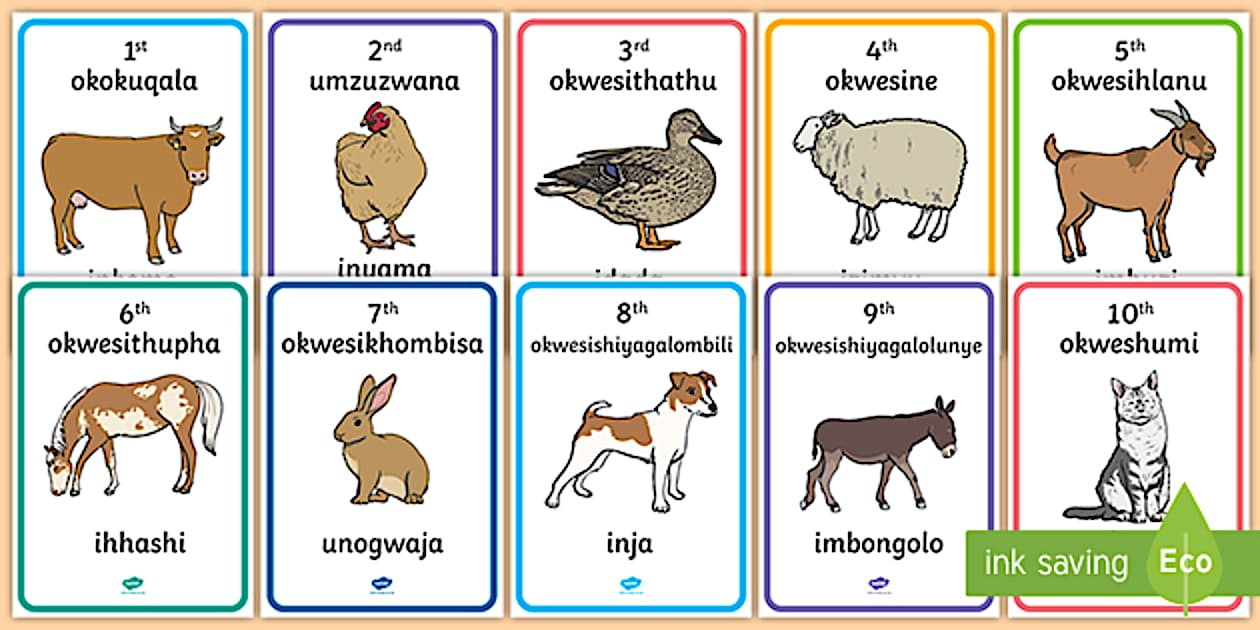 Ordinal Farm Animals - Izilwane Ezijwayelekile Zepulazi