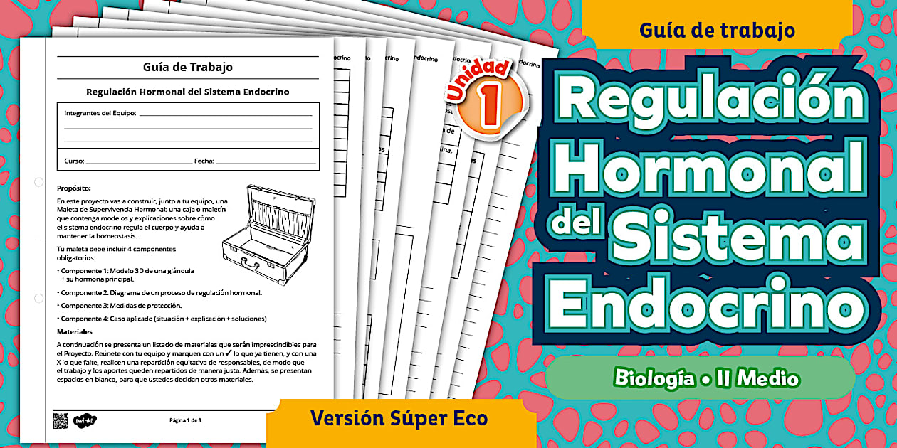 Proyecto | Sistema Endocrino | II° Medio | Biología