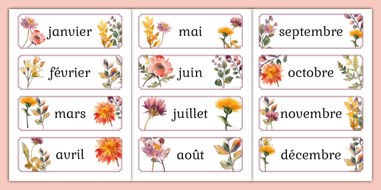 Cartes de vocabulaire : Les mois de l'année (teacher made)