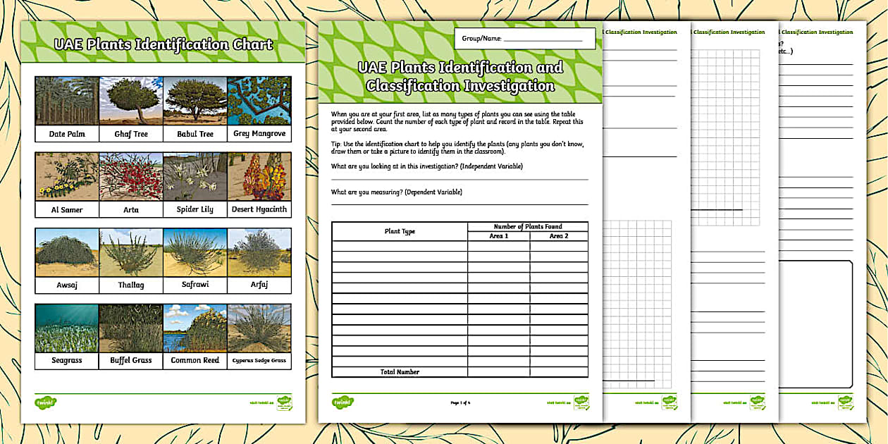 UAE Plants Classification and Identification Investigation