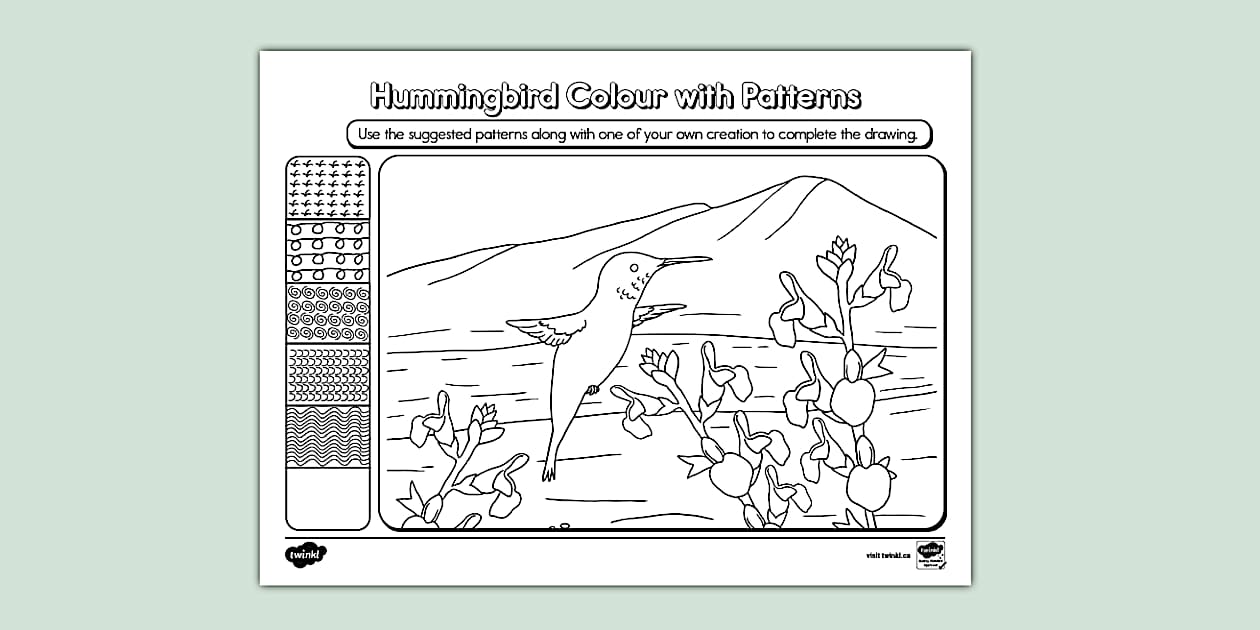 Hummingbird Colour with Patterns Activity (Teacher-Made)