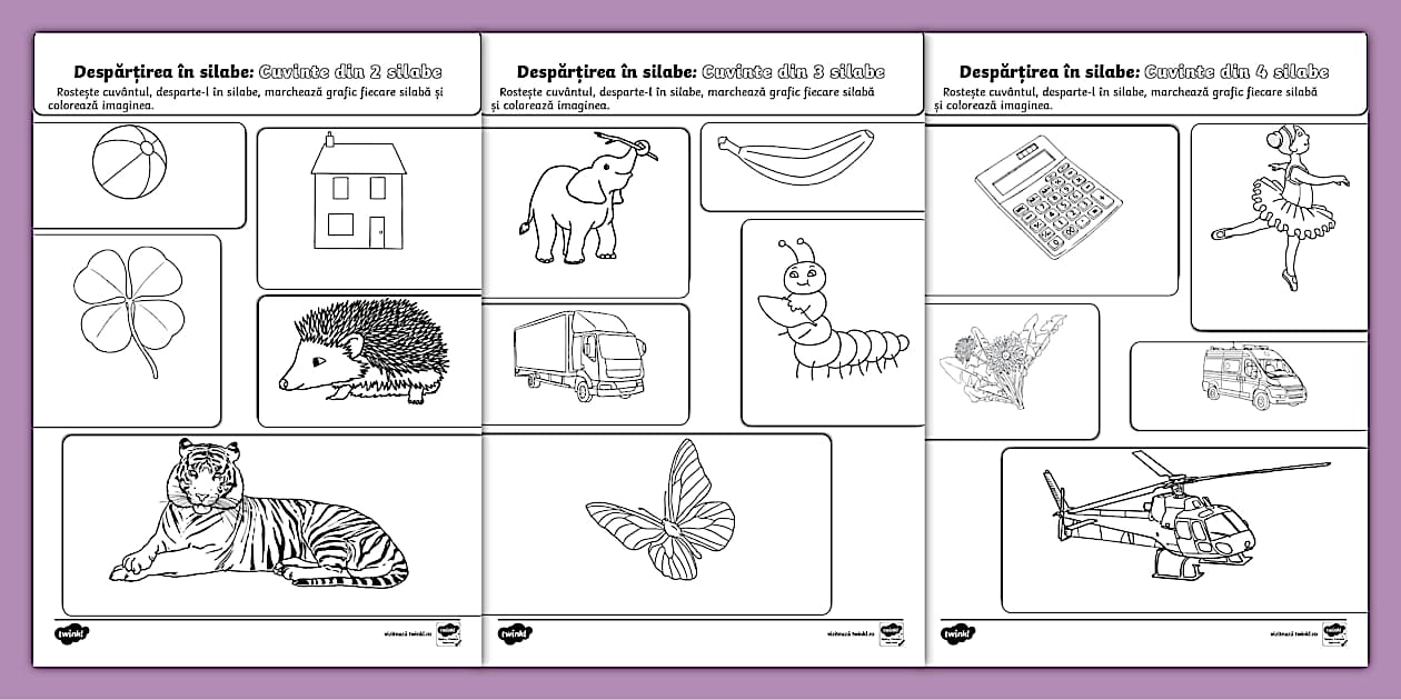 Despărțirea în silabe – Fișe de activitate - Twinkl