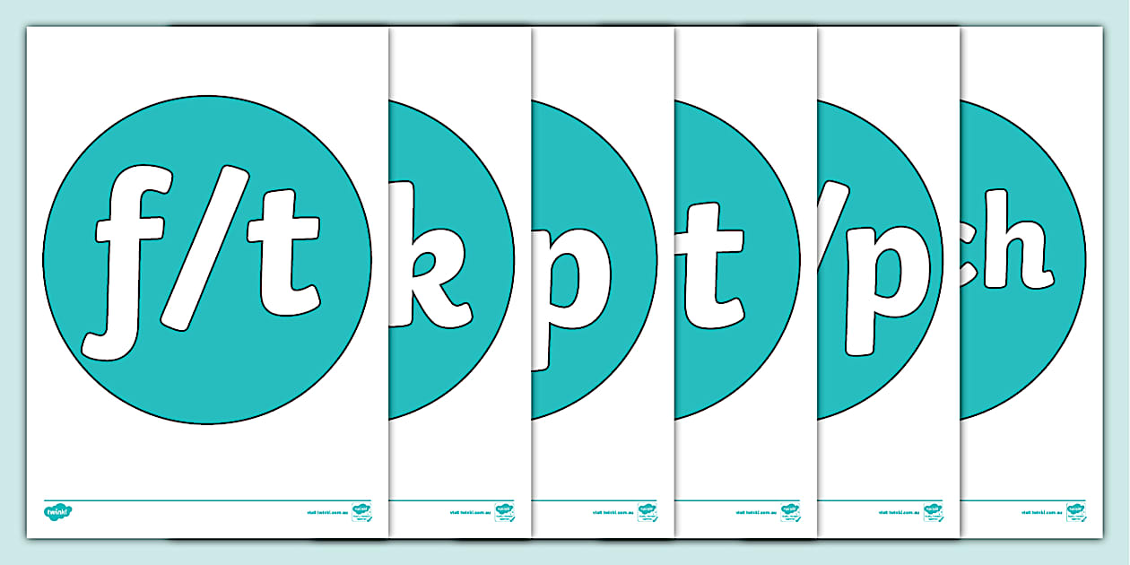 Phase 4 Final Sound Circle Activity Mat / Twinkl
