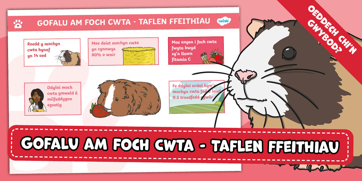 Gofalu am Foch Cwta - Taflen Ffeithiau