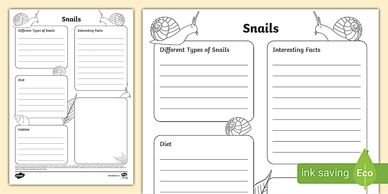 Snails Fact File Template Activity Sheet (teacher made)