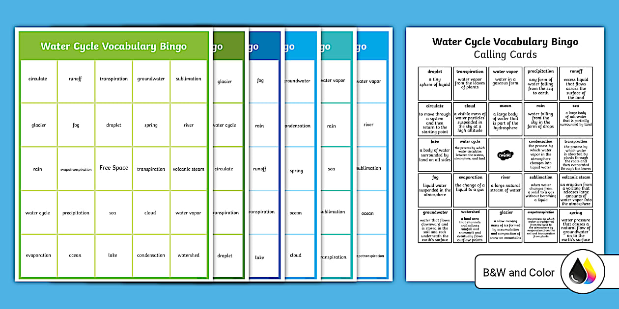 Eighth Grade Water Cycle Vocabulary Bingo (Teacher-Made)