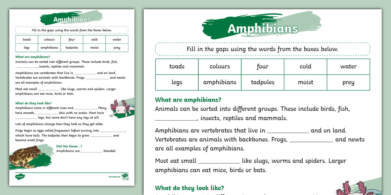 Amphibians Cloze Activity (teacher made) - Twinkl