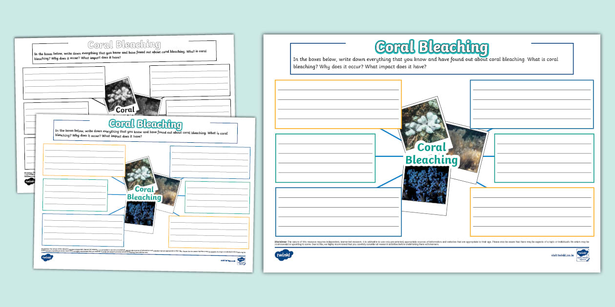 Coral Bleaching Mind Map