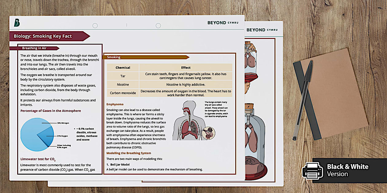 Biology Activity Mat: Smoking (Teacher-Made) - Twinkl