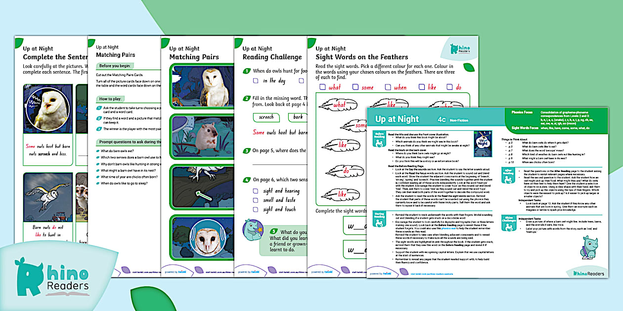 Level 4c 'Up at Night' Guided Reading Pack | Twinkl