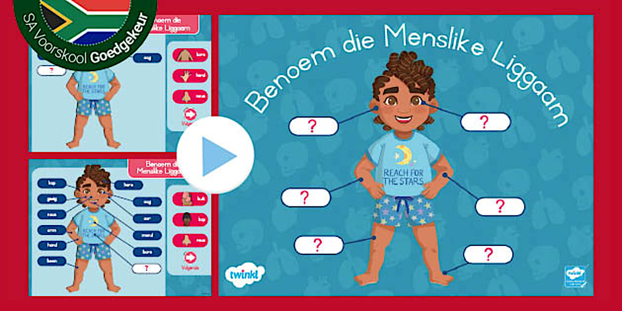 My Liggaam: PowerPoint Speletjie (teacher made) - Twinkl