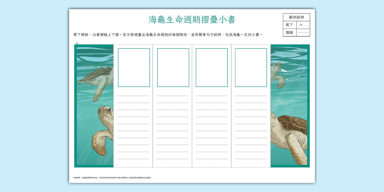 《海龜生命週期摺疊小書》 (professor feito)