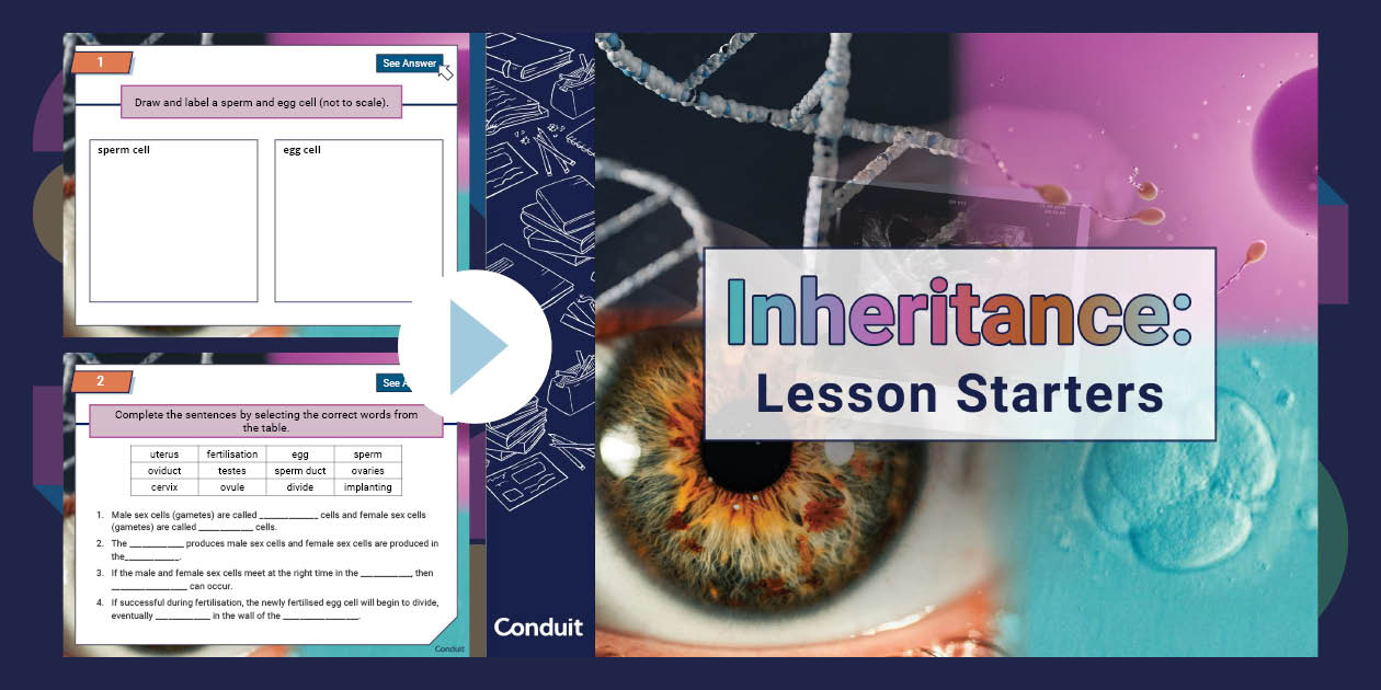 Inheritance: Lesson Starters PowerPoint Presentation
