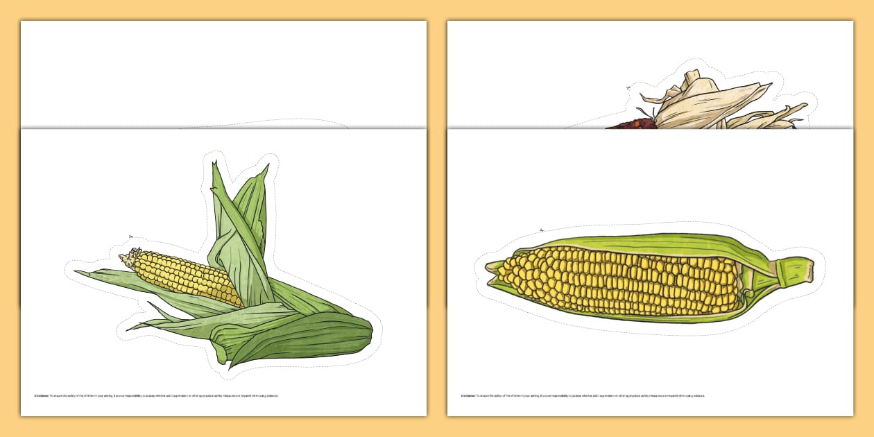 Corn Vegetable Display Cut-Outs (Teacher-Made) - Twinkl