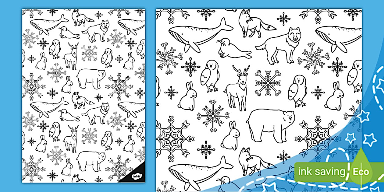 Arctic-Themed Doodle Page (teacher made) - Twinkl
