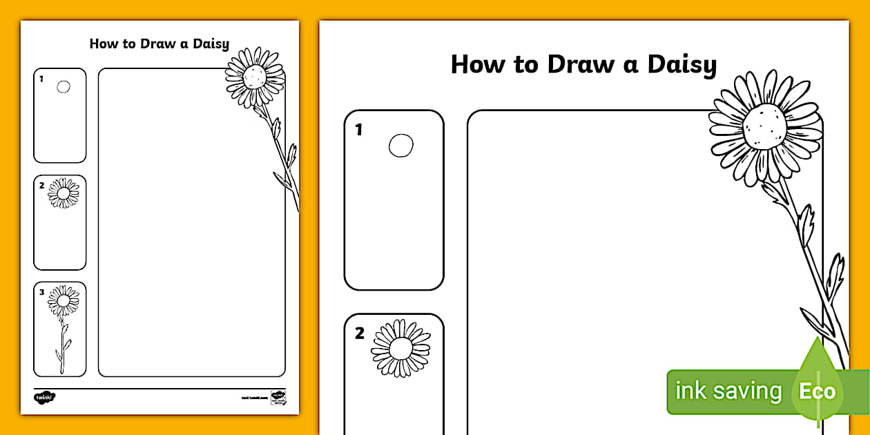 How to Draw a Daisy Flower in 3 Steps Activity| Twinkl