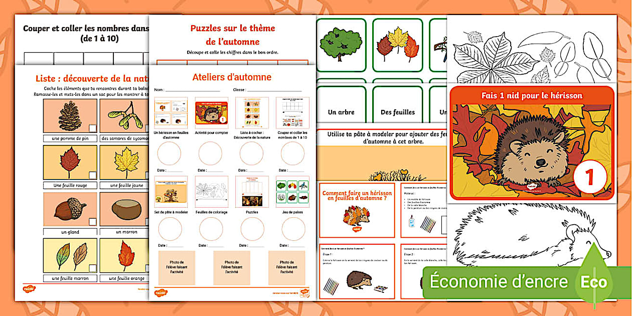 Atelier d'automne pour les maternelles - Cycle 1