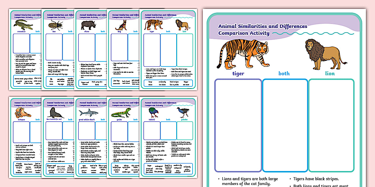 Animal Similarities and Differences Comparison Activity