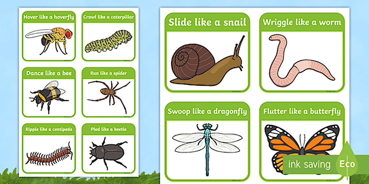 Minibeast Movement Cards - Twinkl