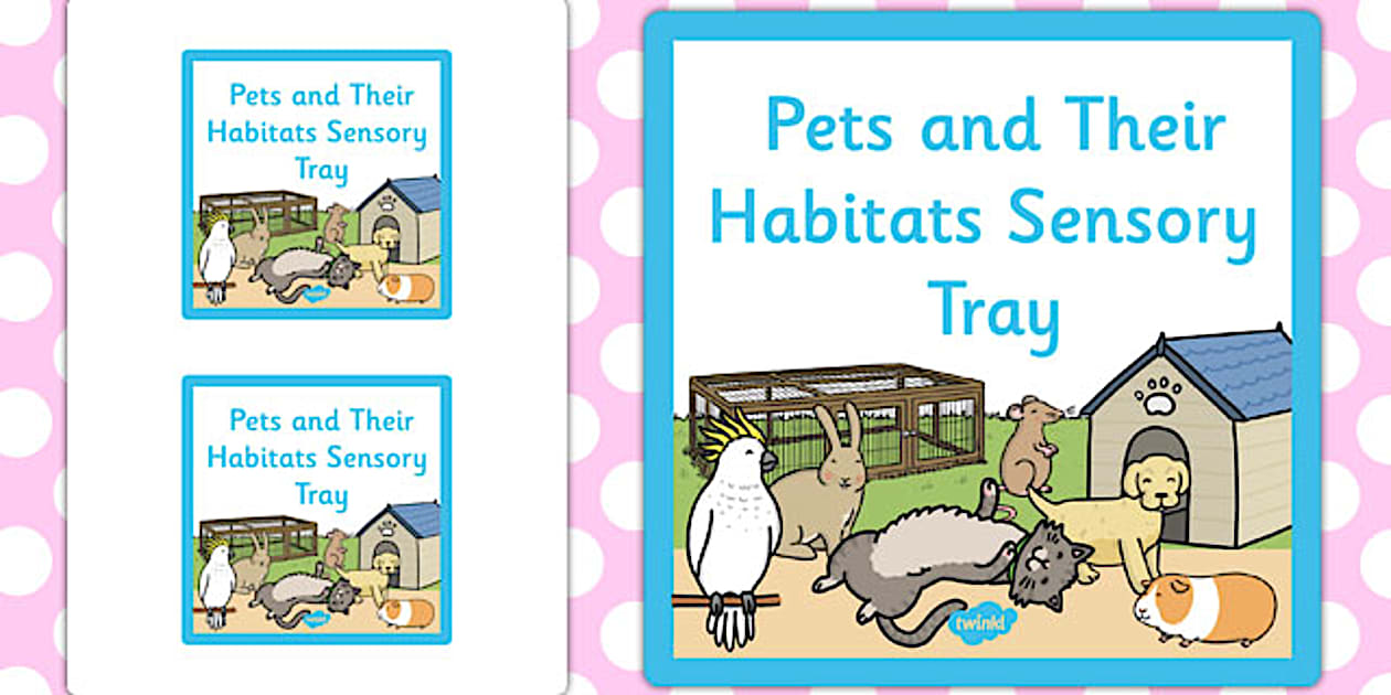 Editable Pets and Their Habitats Themed Sensory Deep Tray Label