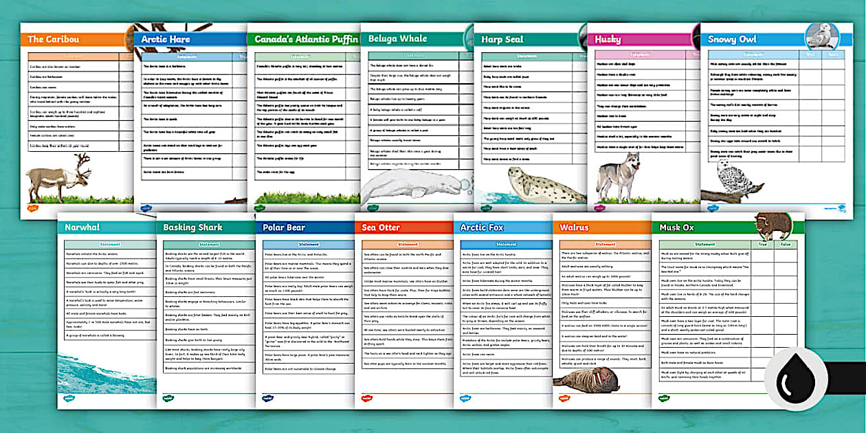 Arctic Animals True or False Activity Pack (teacher made)