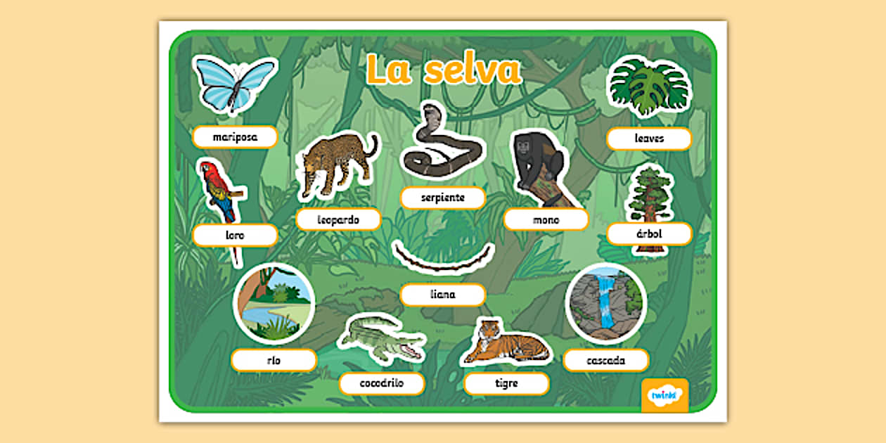 Tapete de vocabulario: la selva (teacher made) - Twinkl
