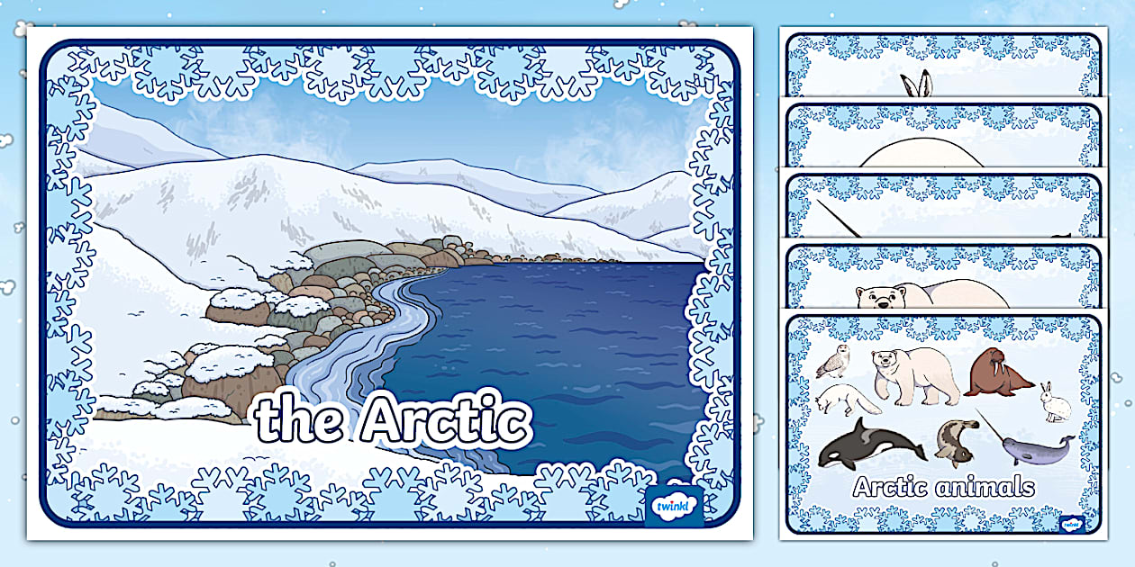 The Arctic Display Posters (teacher made) - Twinkl
