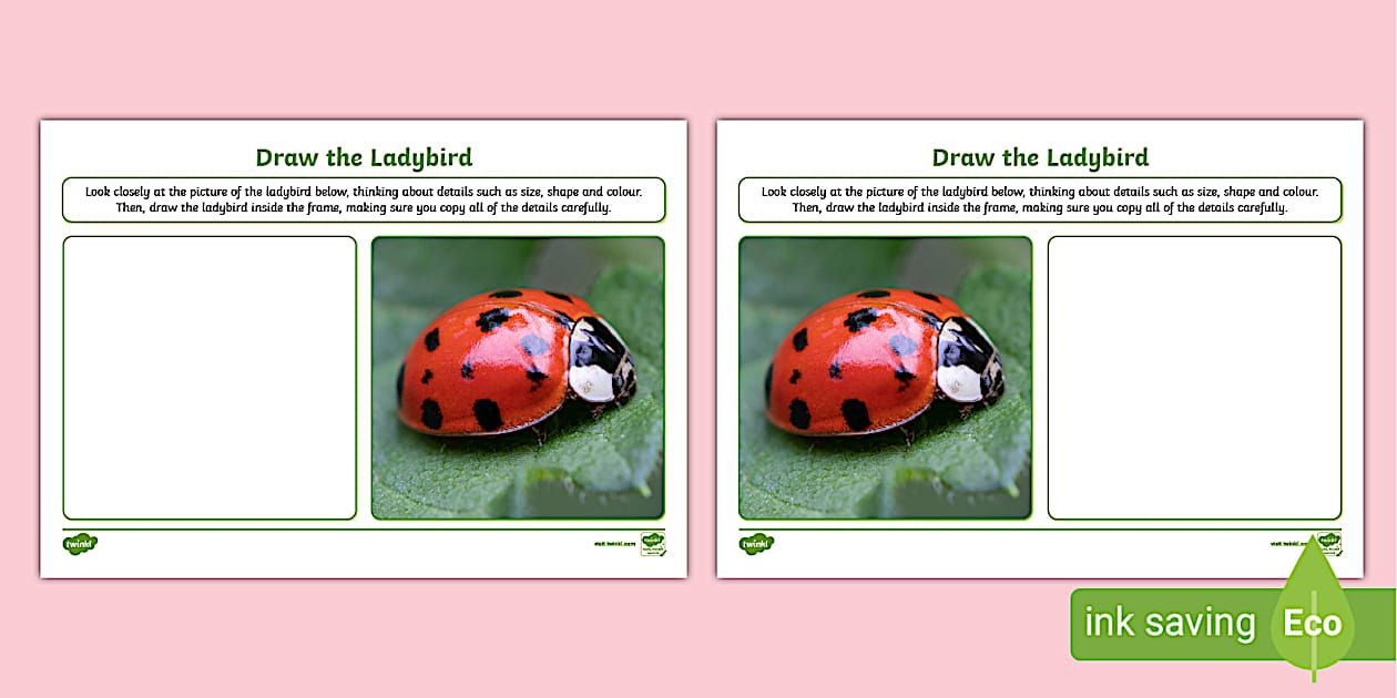 Draw the Ladybird Art Activity (Hecho por educadores)