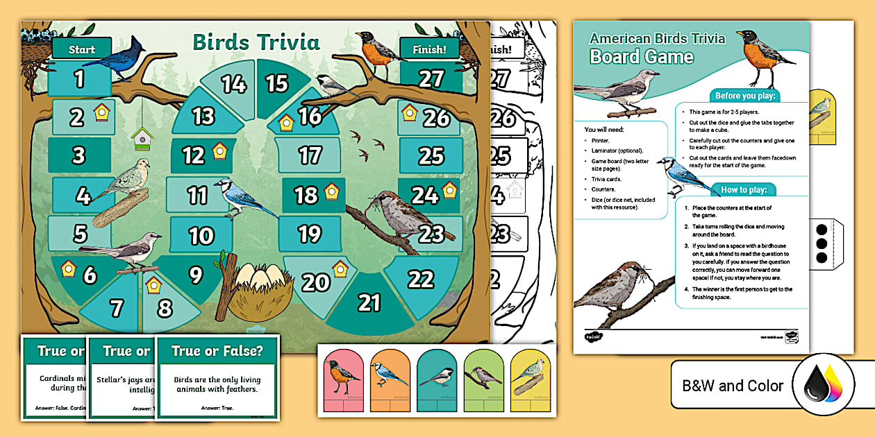 Bird Trivia Game | National Bird Day | Twinkl USA - Twinkl