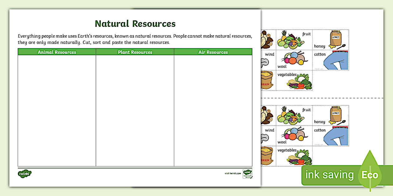 Editable Natural Resources Science Sorting Worksheet
