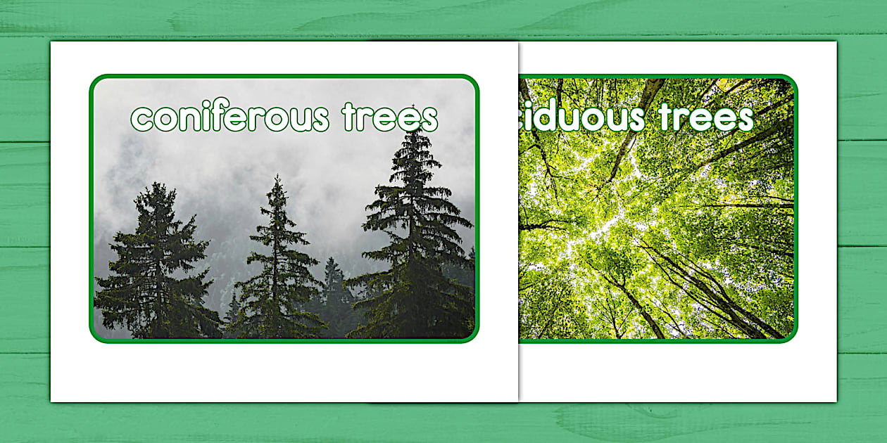 Canadian Shield Photo Display Pack | Twinkl Canada - Twinkl