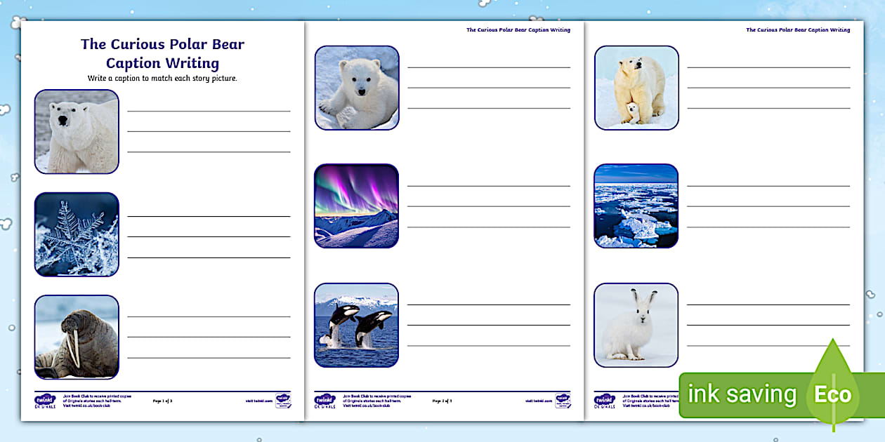 The Curious Polar Bear Caption Writing Activity | Twinkl