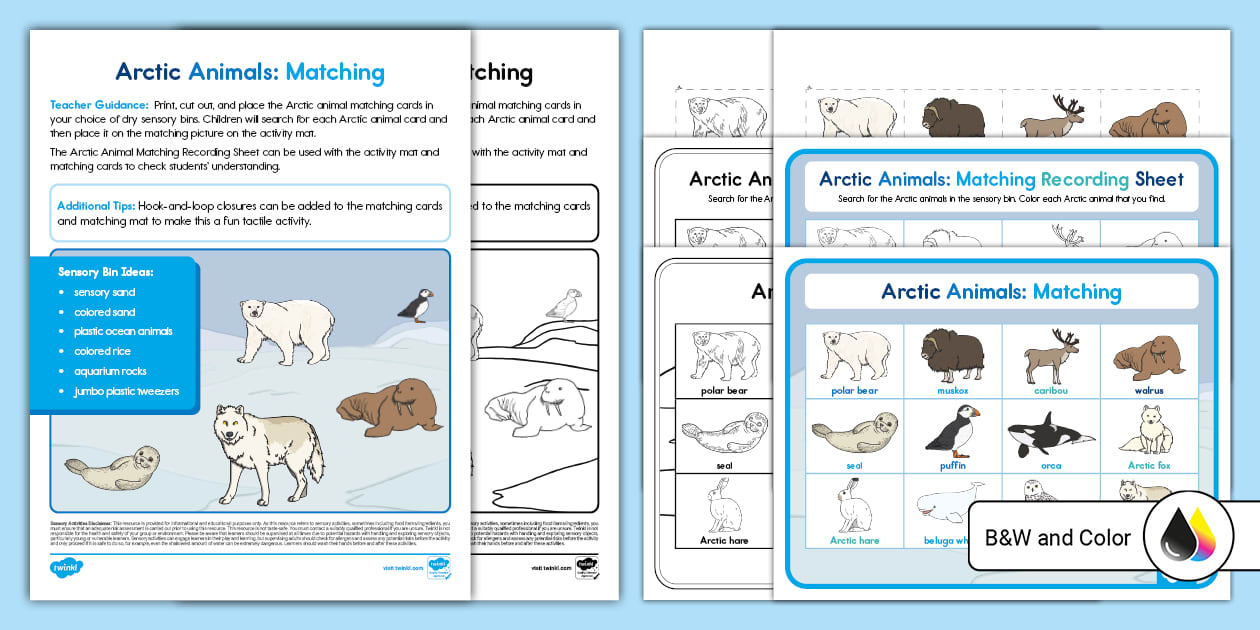 Arctic Animals Sensory Bin Matching Activity Mat - Twinkl