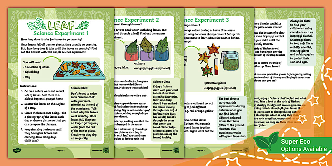 Leaf Science Experiments (l'enseignant a fait) - Twinkl