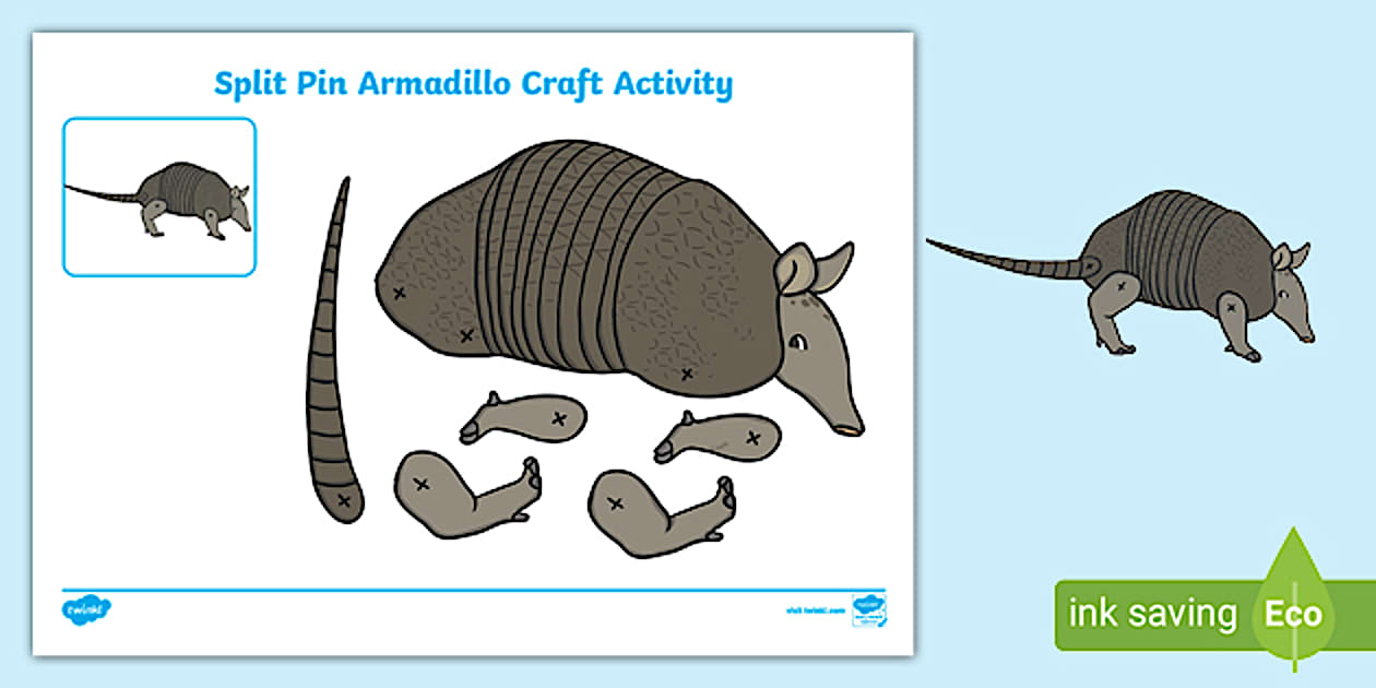 Split Pin Armadillo Craft Activity | Resources | Twinkl