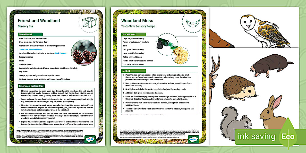 Forest and Woodland Sensory Bin and Resource Pack | Twinkl