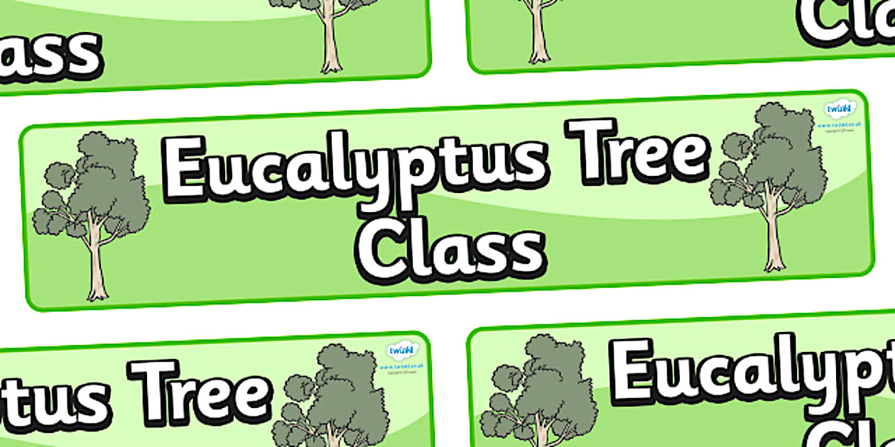 Eucalyptus Display Banner | Classroom Display Resources