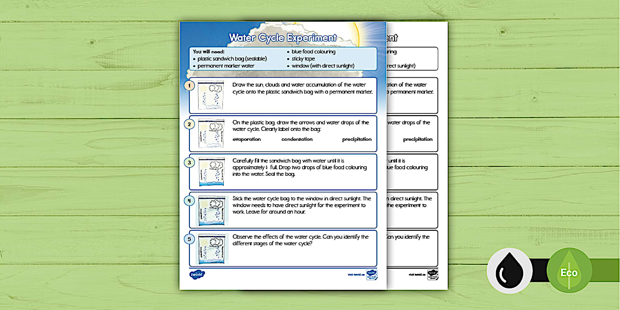 Water Cycle Experiment (creat de profesori) - Twinkl