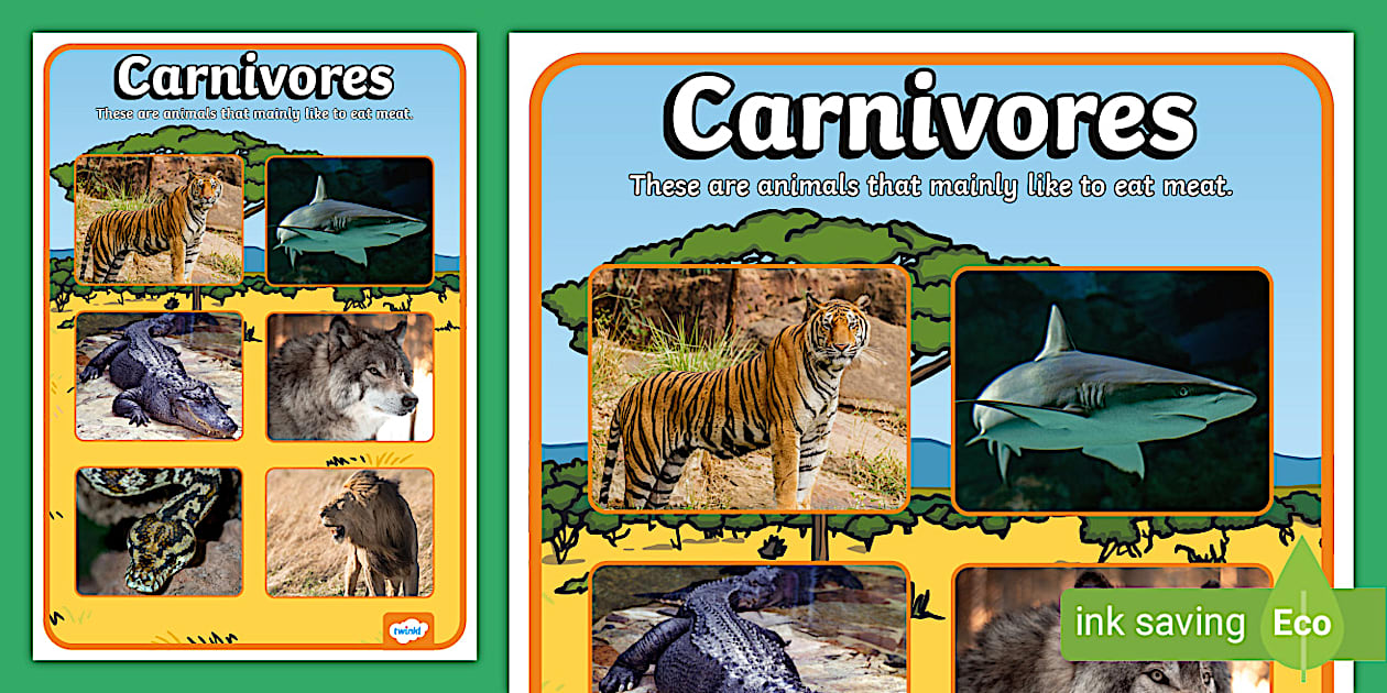 Carnivores Photo Display Poster (teacher made) - Twinkl