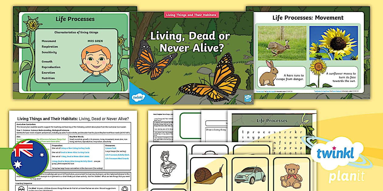 Year 1 Science Living Things and Their Habitats Lesson 1