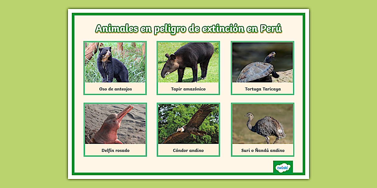 Afiche de animales en peligro de extinción (Perú) - Twinkl